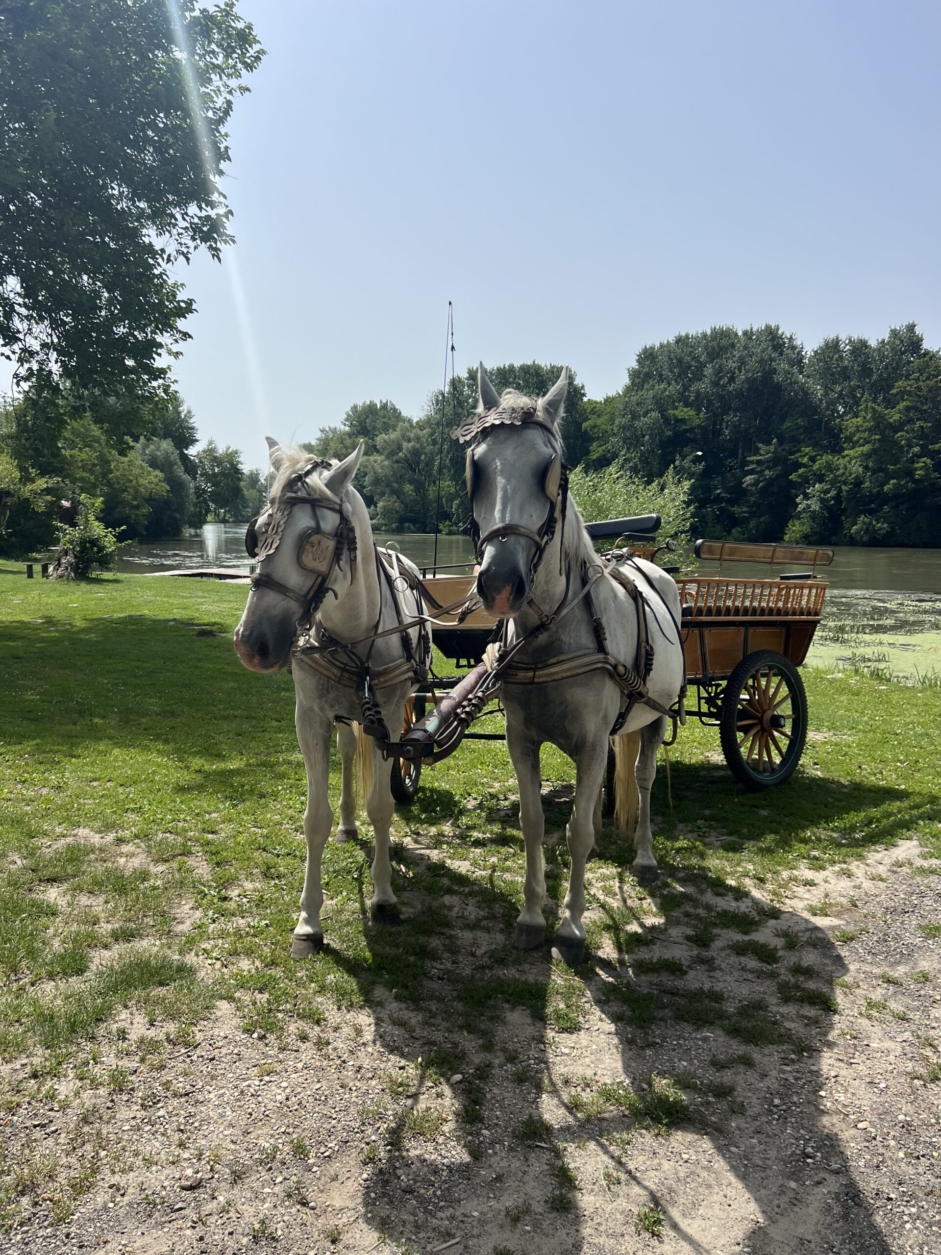 TRNAVA REGION: WHAT YOU NEED TO KNOW – Travel with Contrast Adventures